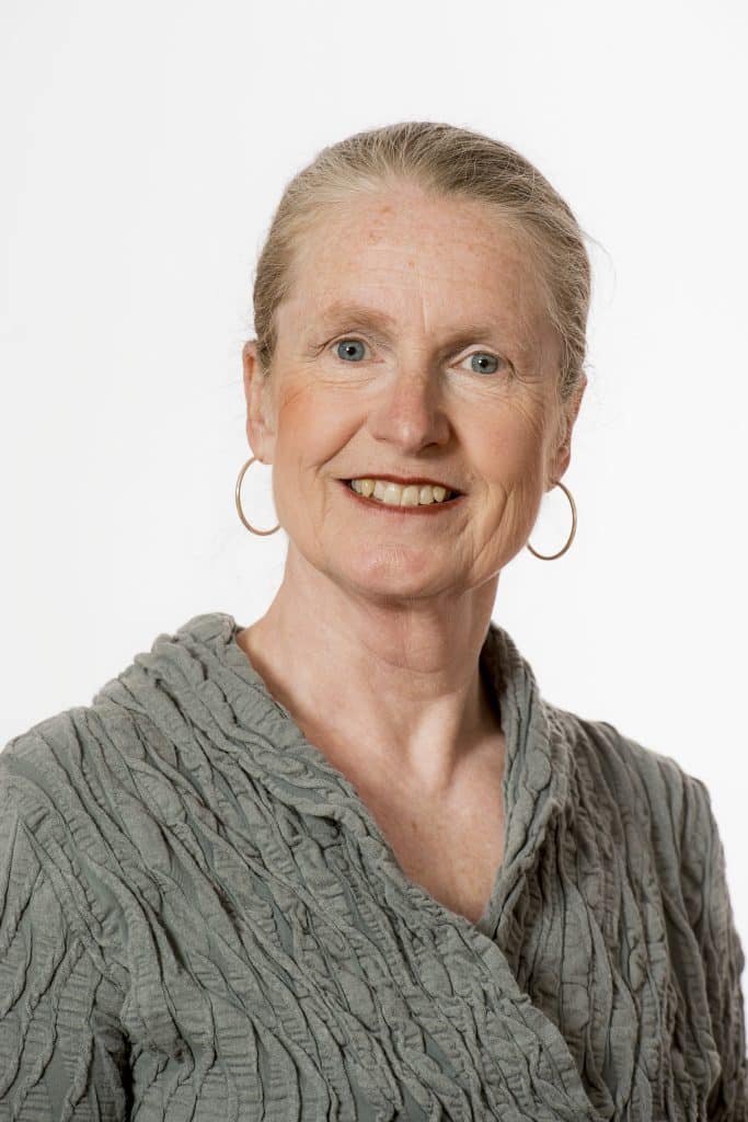 Gemeenteraad - Gemeente Buren